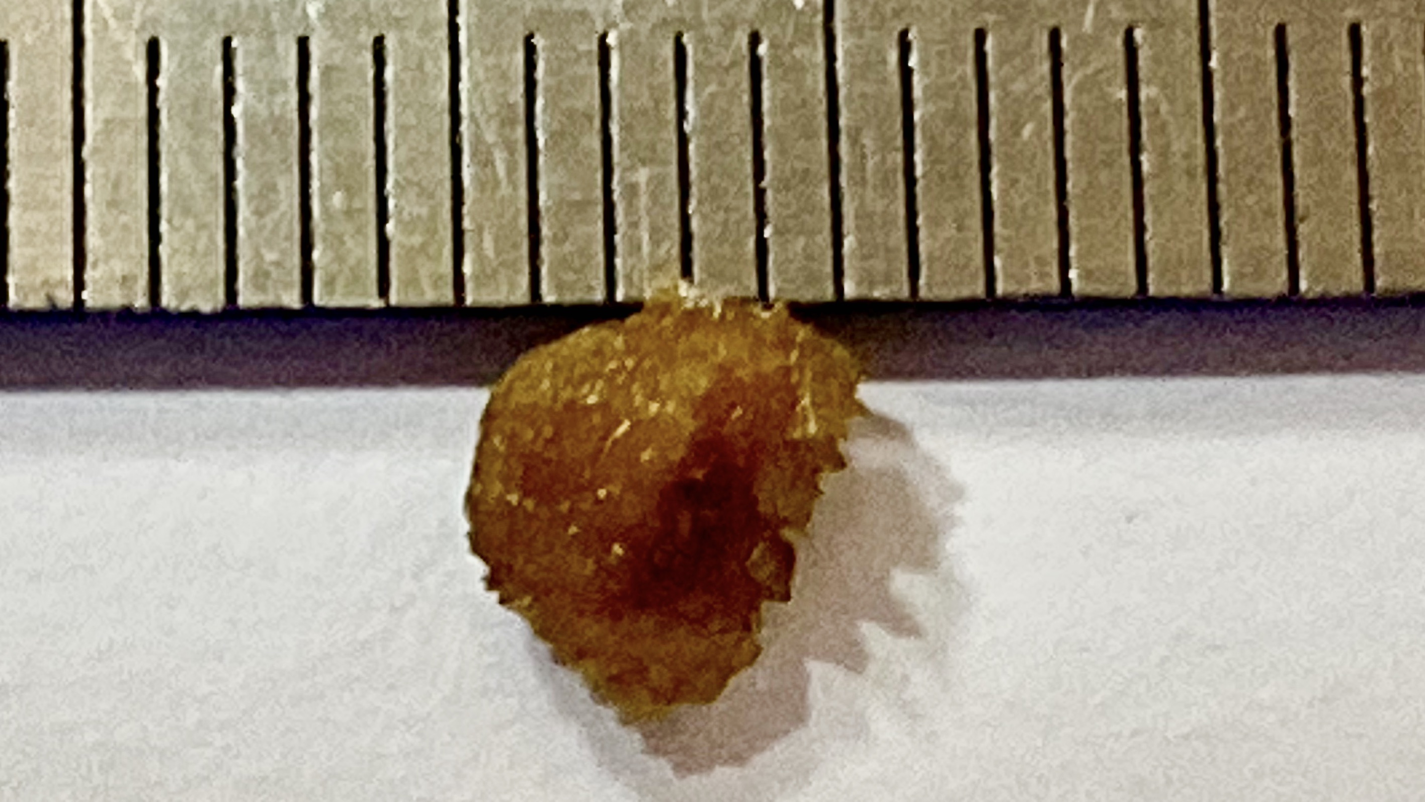 Three haïkus to celebrate | Clodjee's Safe-House