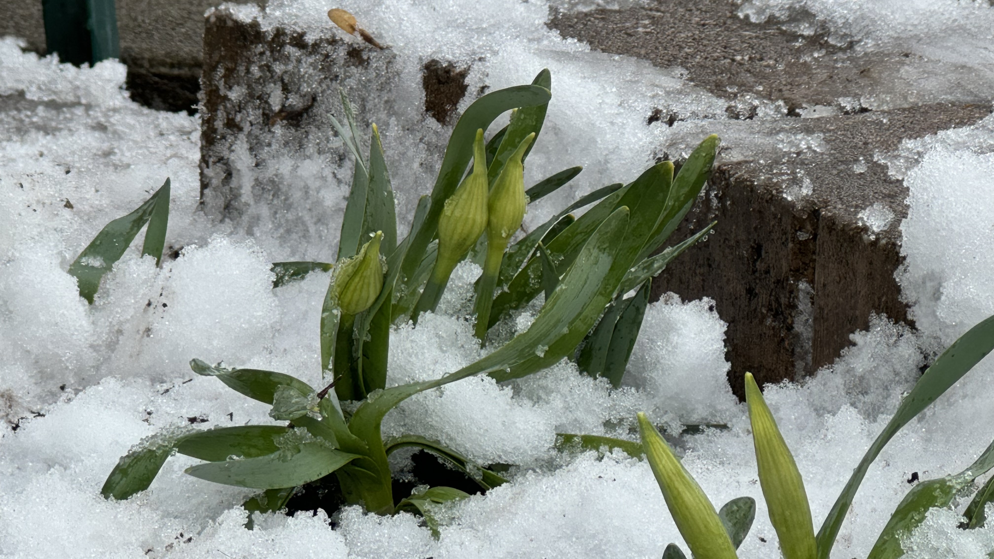 Jeudi nature en images [002.024.102] | Clodjee's Safe-House