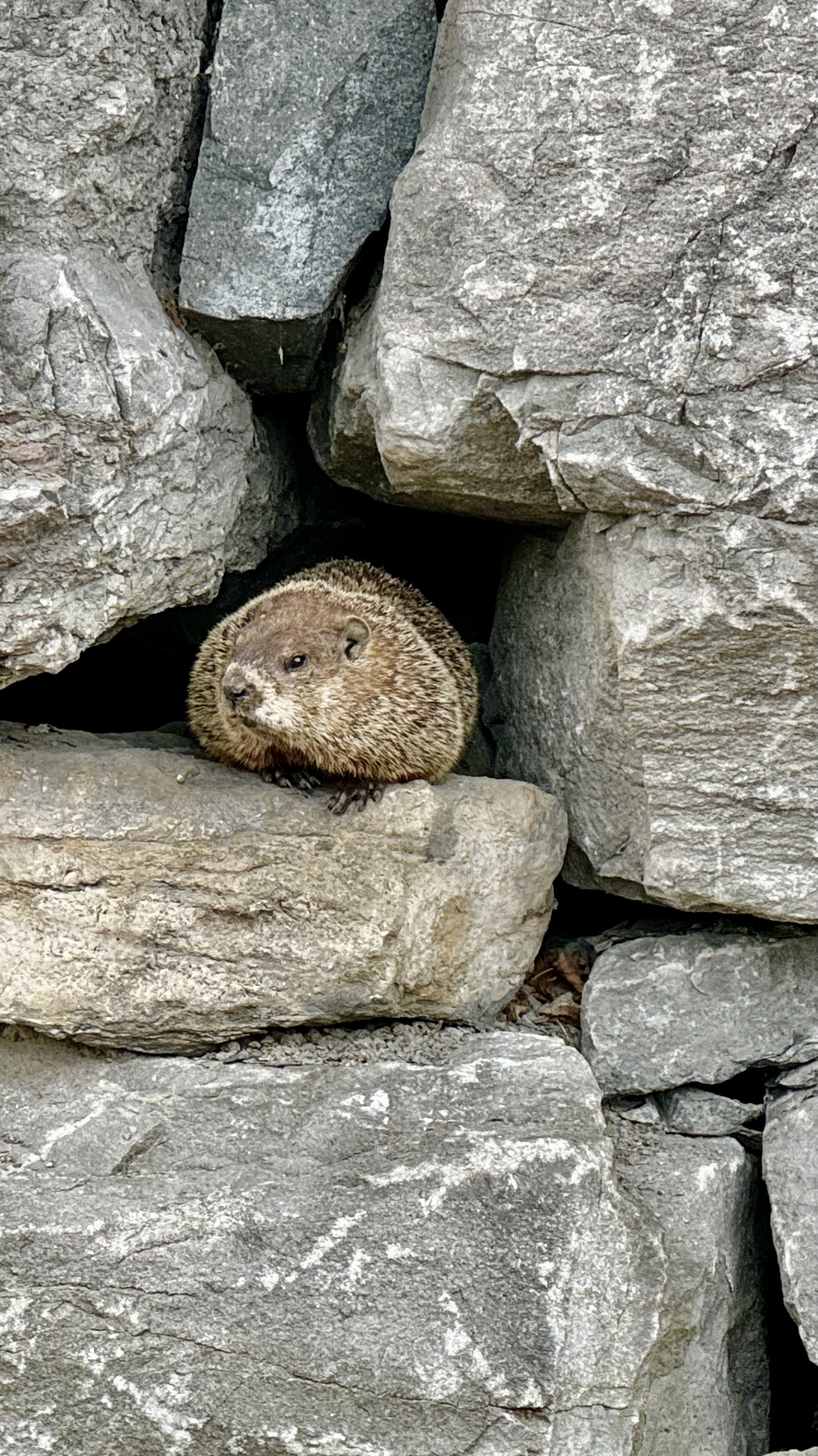 Jeudi nature en images [002.024.116] | Clodjee's Safe-House